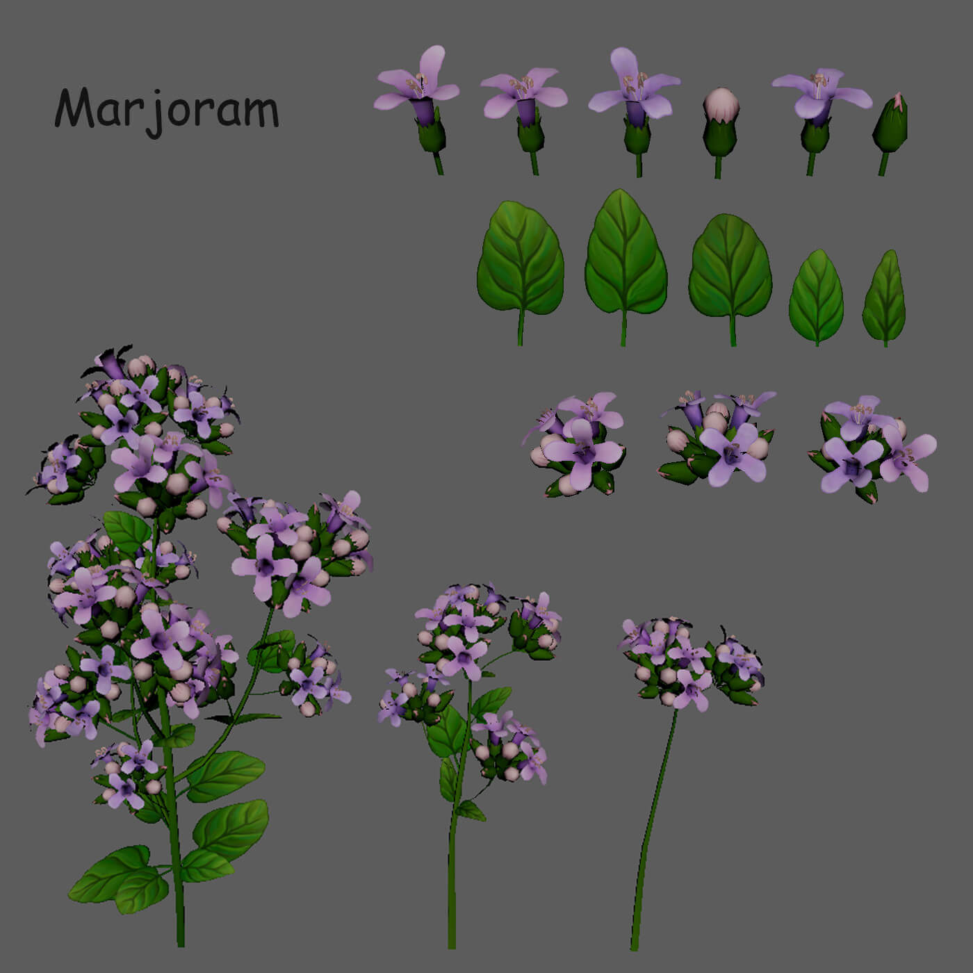 Pack Stylized Handpainted Plants and Sprigs Low Poly 3D Mode by Enkarra