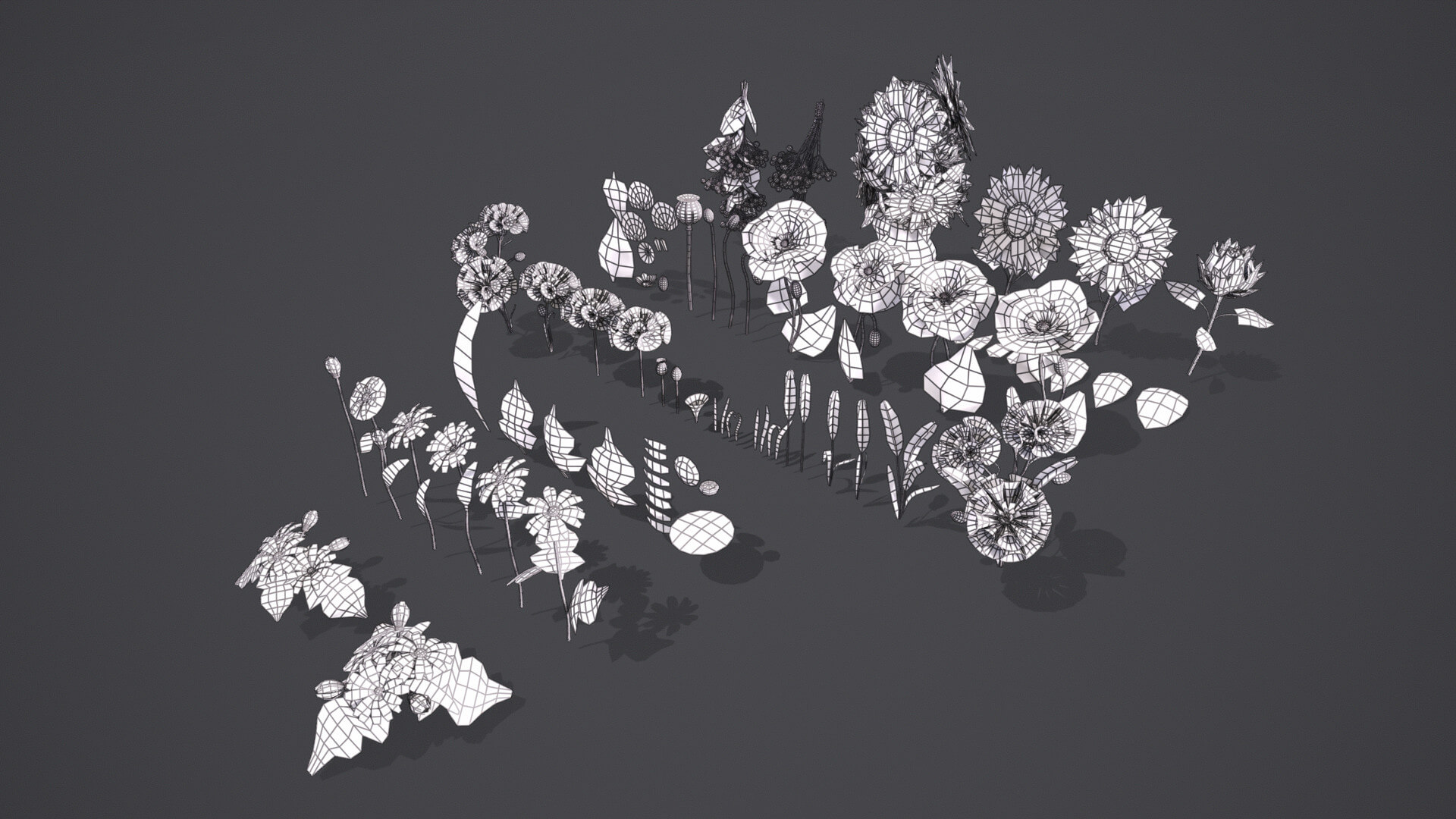 Pack Stylized Handpainted Wild Flowers Low Poly 3D Model by Enkarra