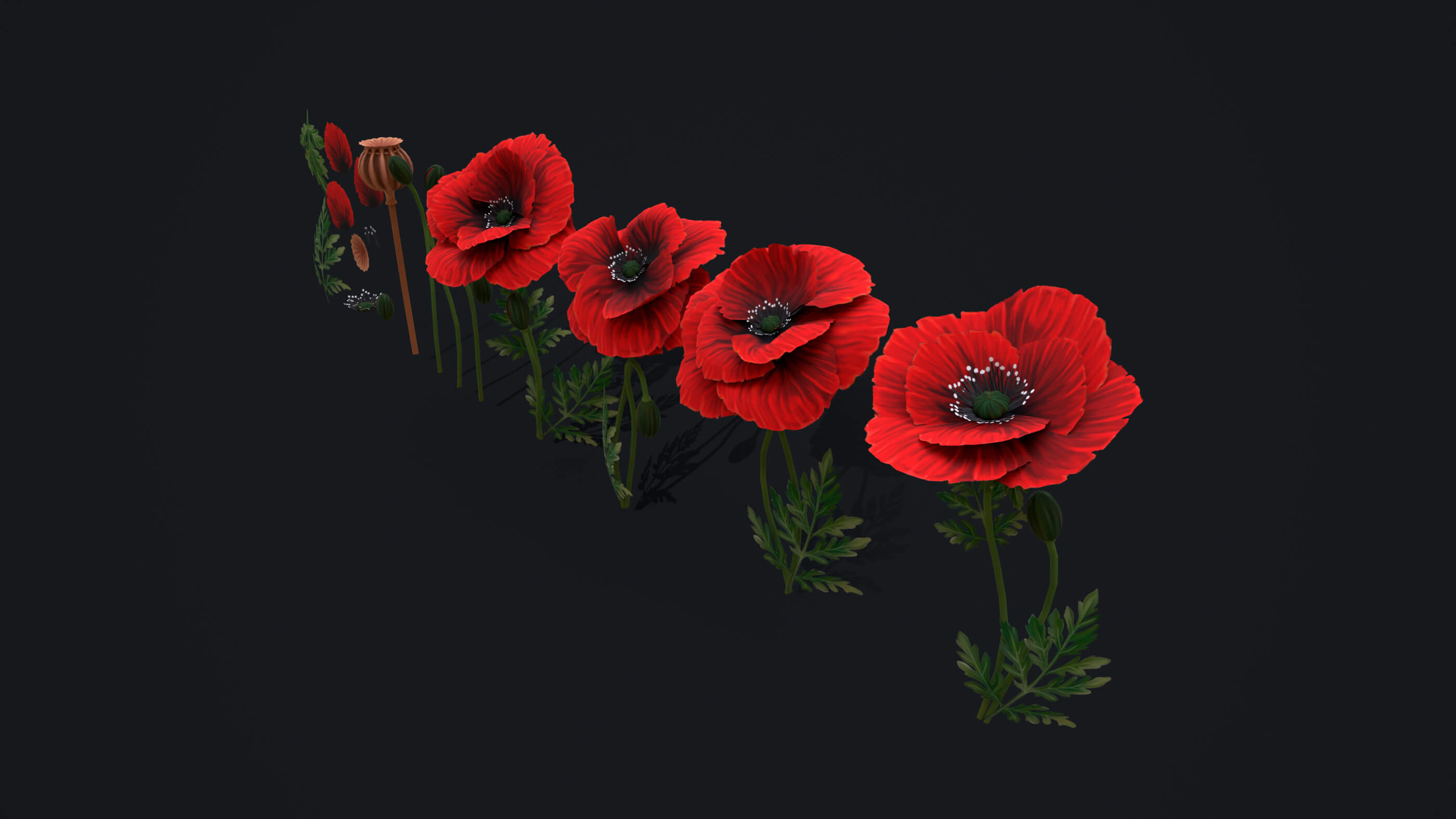 Stylized Handpainted Poppy - 3D Model by Enkarra