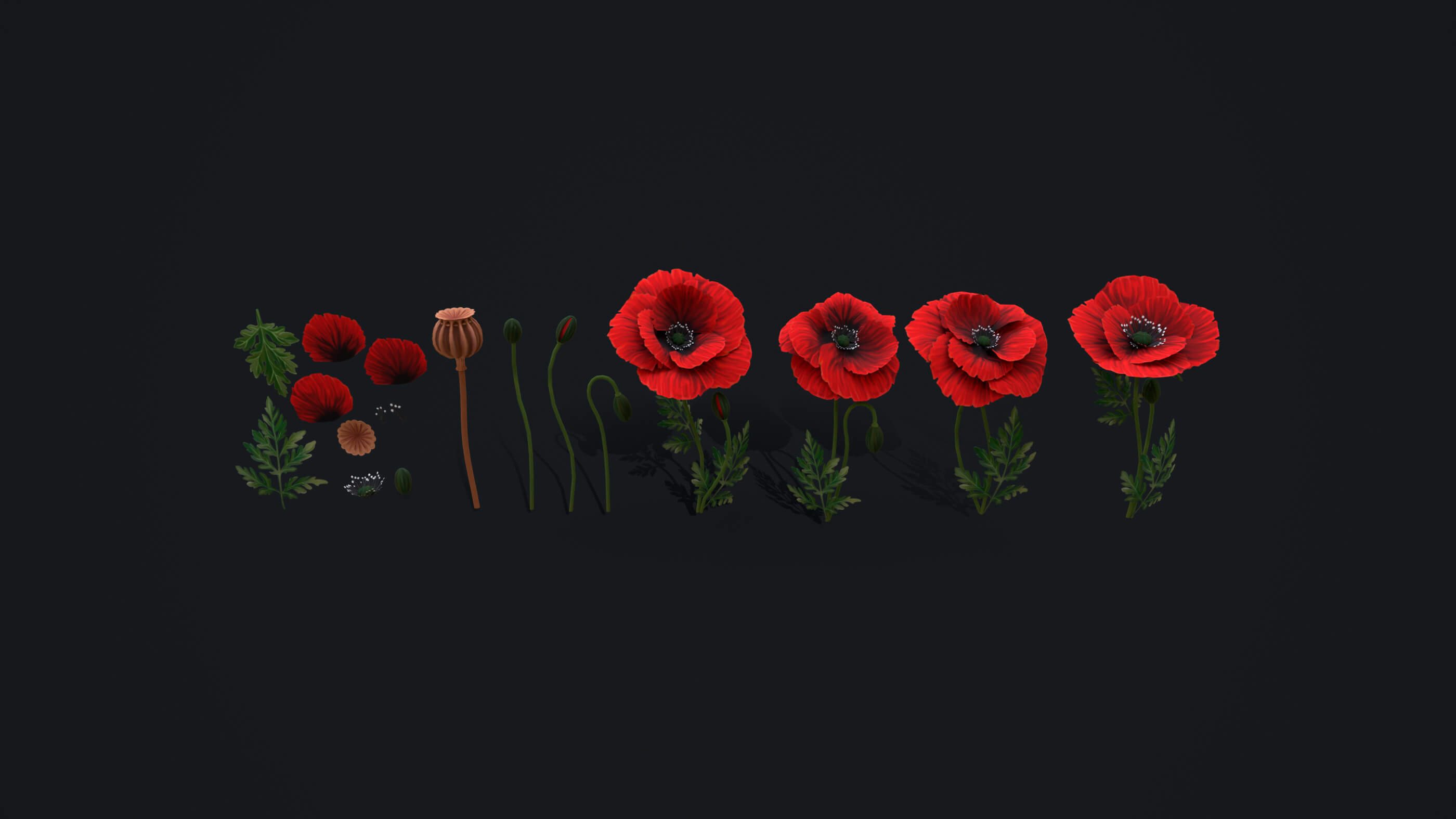 Stylized Handpainted Poppy - 3D Model by Enkarra