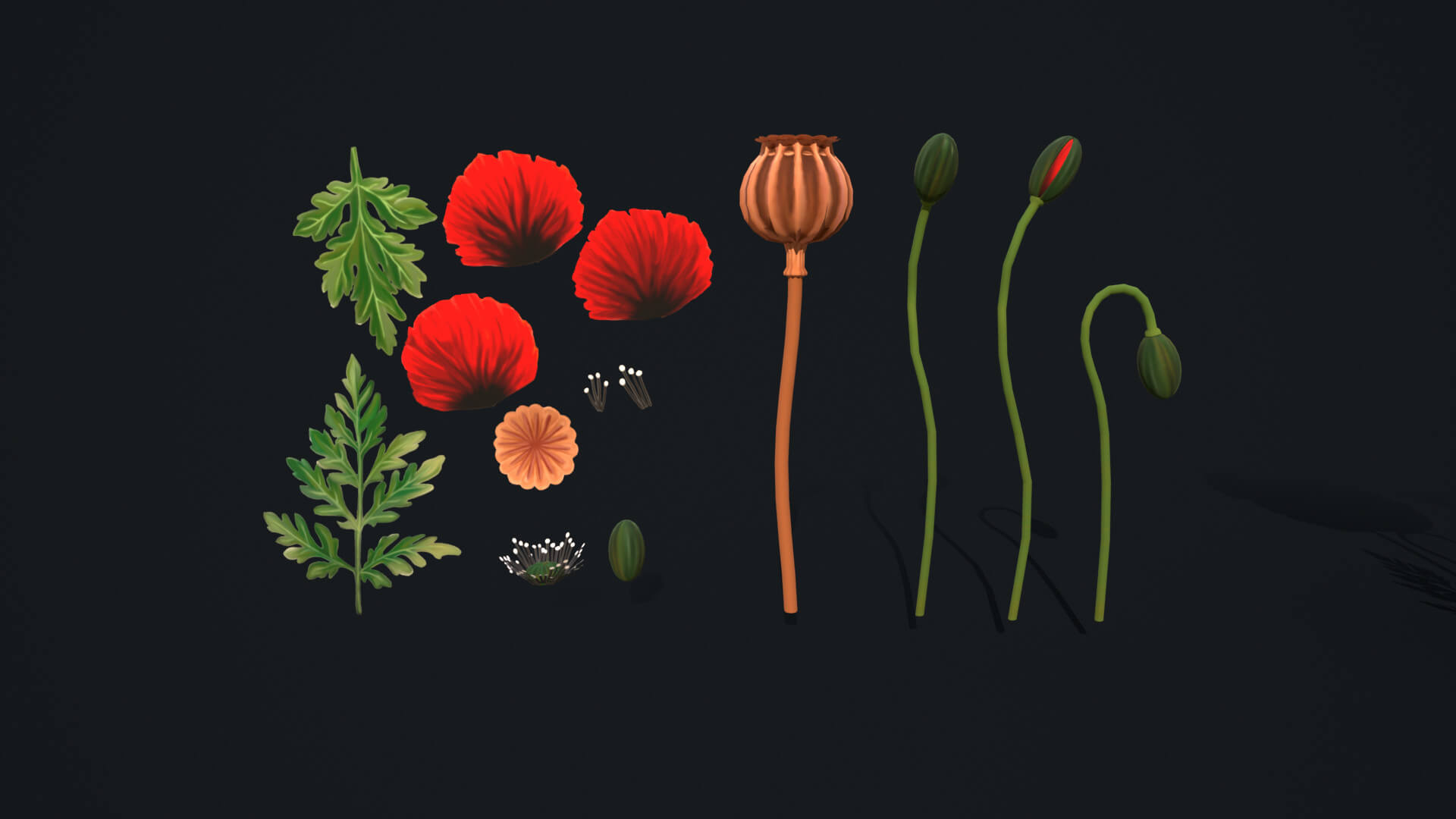 Stylized Handpainted Poppy - 3D Model by Enkarra