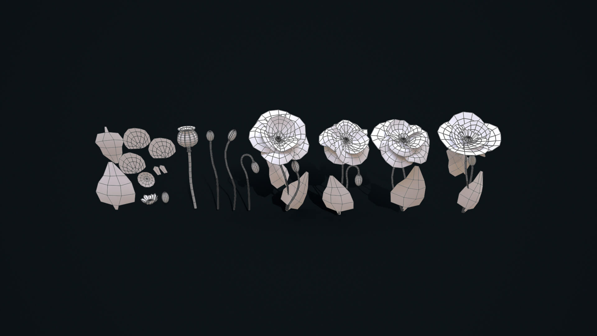 Stylized Handpainted Poppy - 3D Model by Enkarra