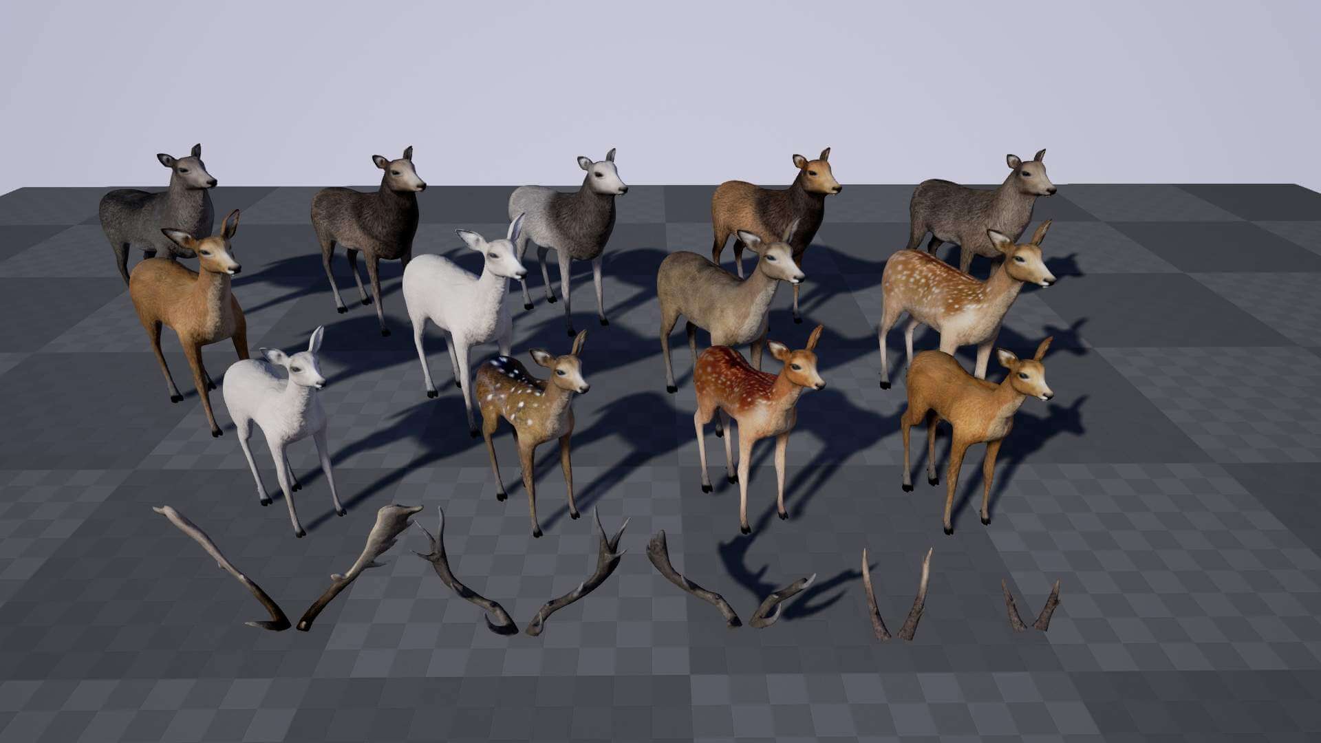Deer (Modular Pack) - 3D Model by Enterables