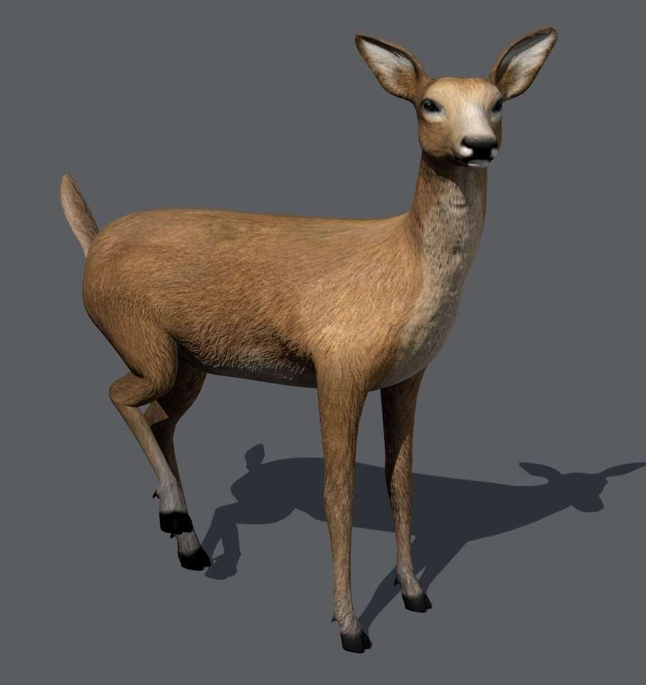 Deer (Modular Pack) - 3D Model by Enterables