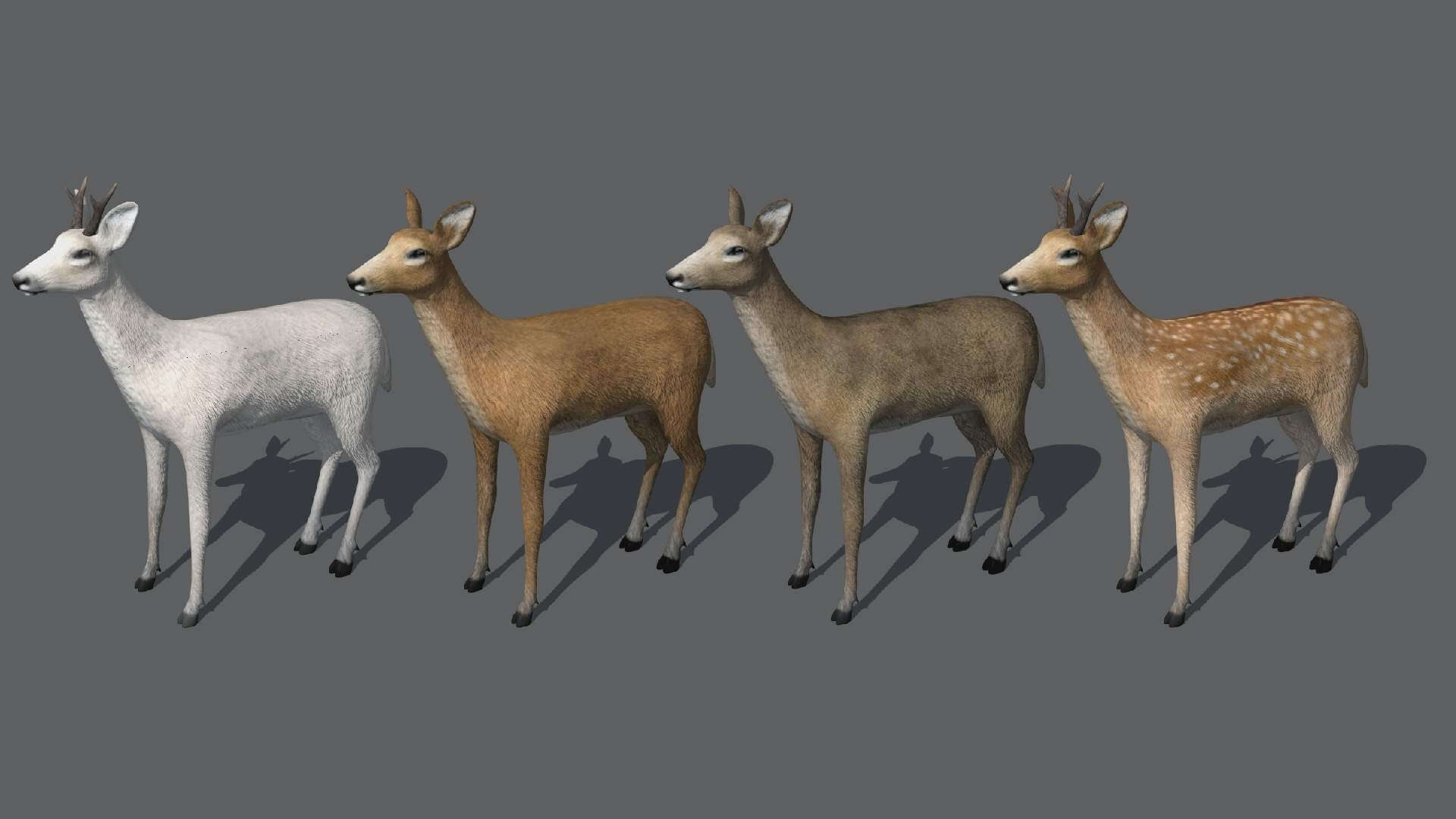 Deer (Modular Pack) - 3D Model by Enterables