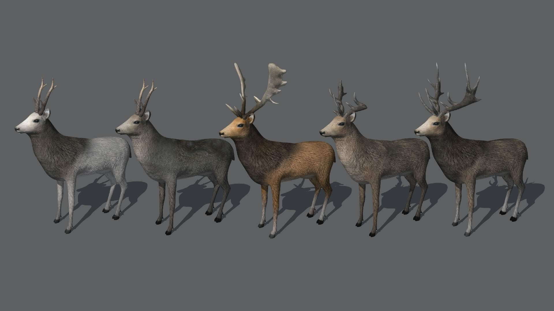 Deer (Modular Pack) - 3D Model by Enterables
