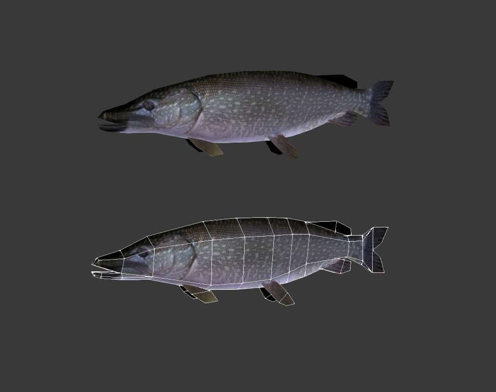 Pike Fish - 3D Model by Enterables
