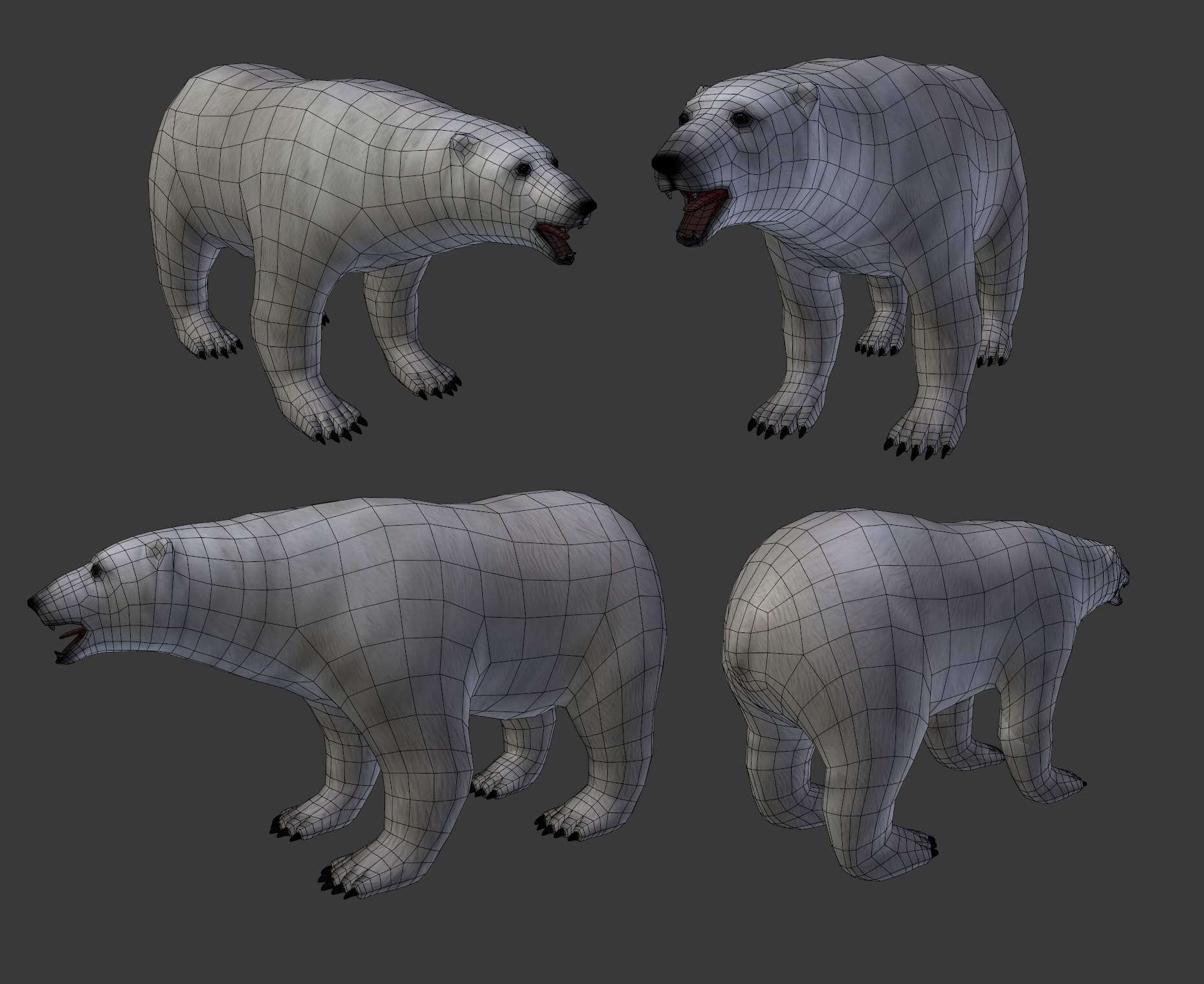 Polar Bear - 3D Model by Enterables