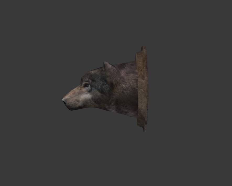 Wolf Head Trophy - 3D Model by Enterables
