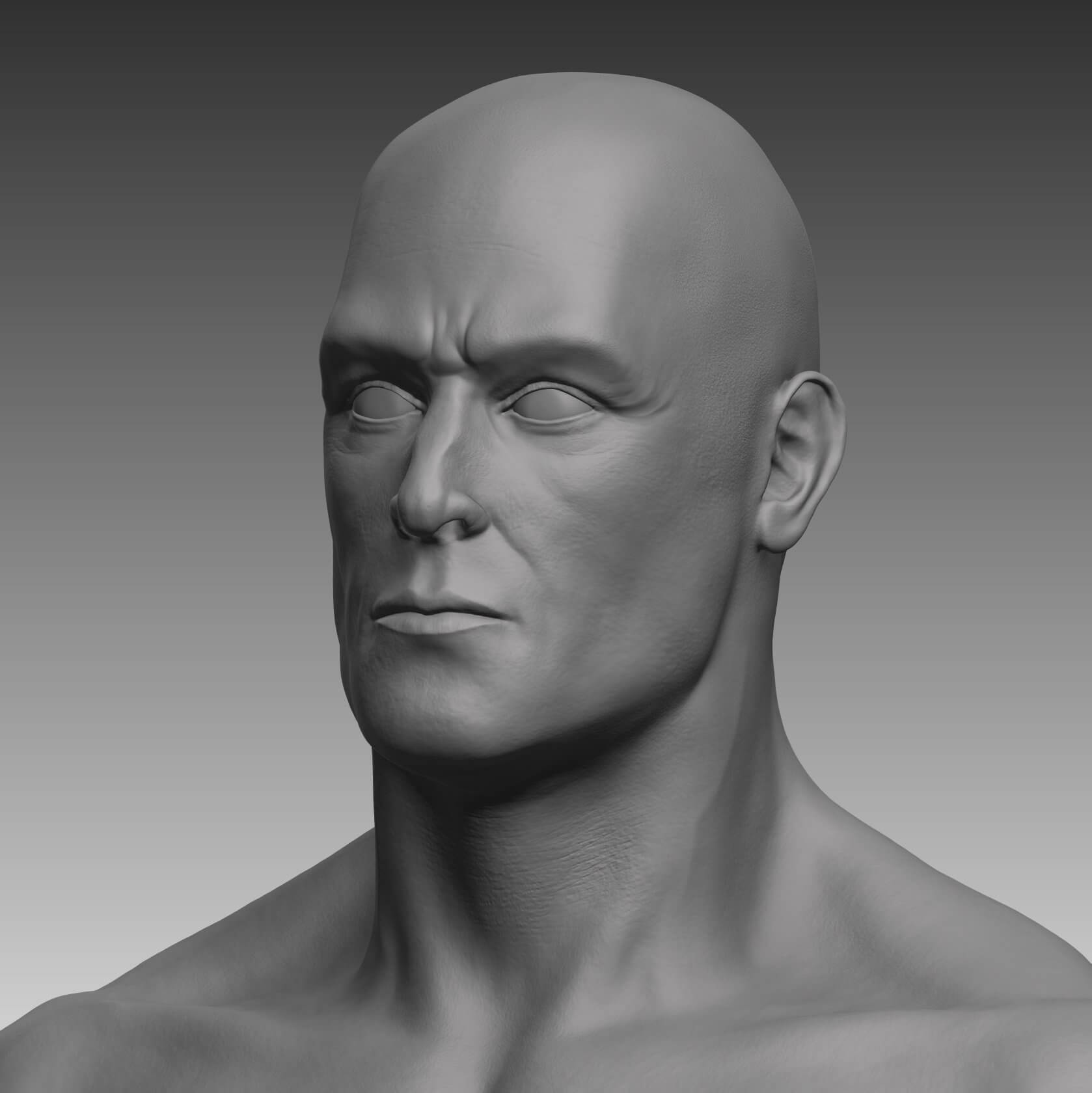 Anatomical Body Base Mesh - 3D Model by erik_redhair