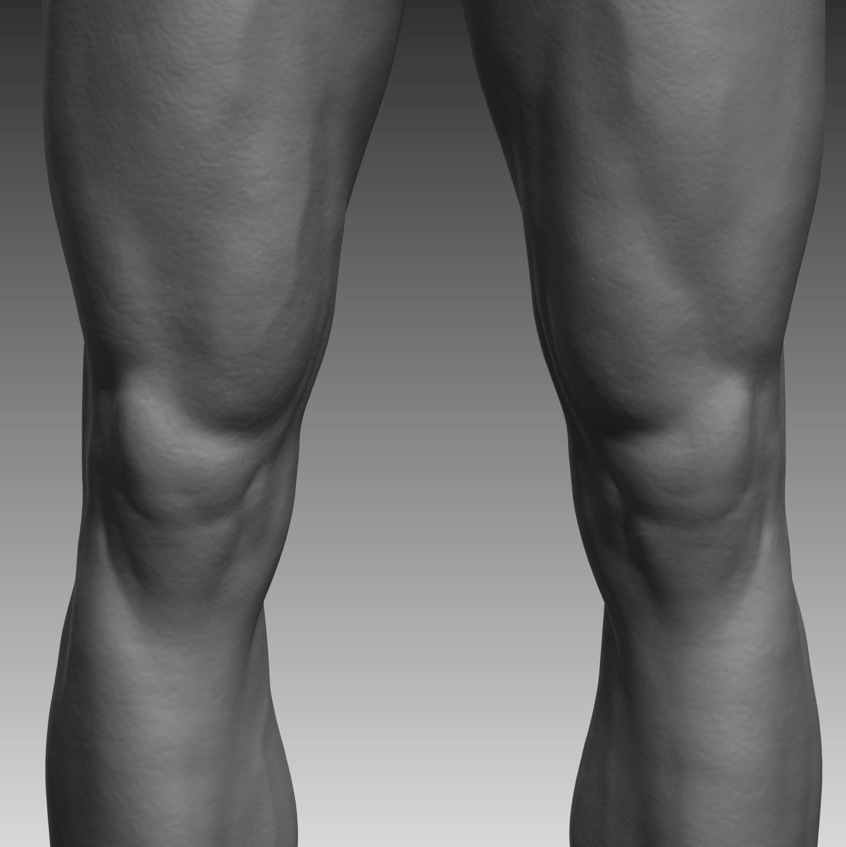 Anatomical Body Base Mesh - 3D Model by erik_redhair