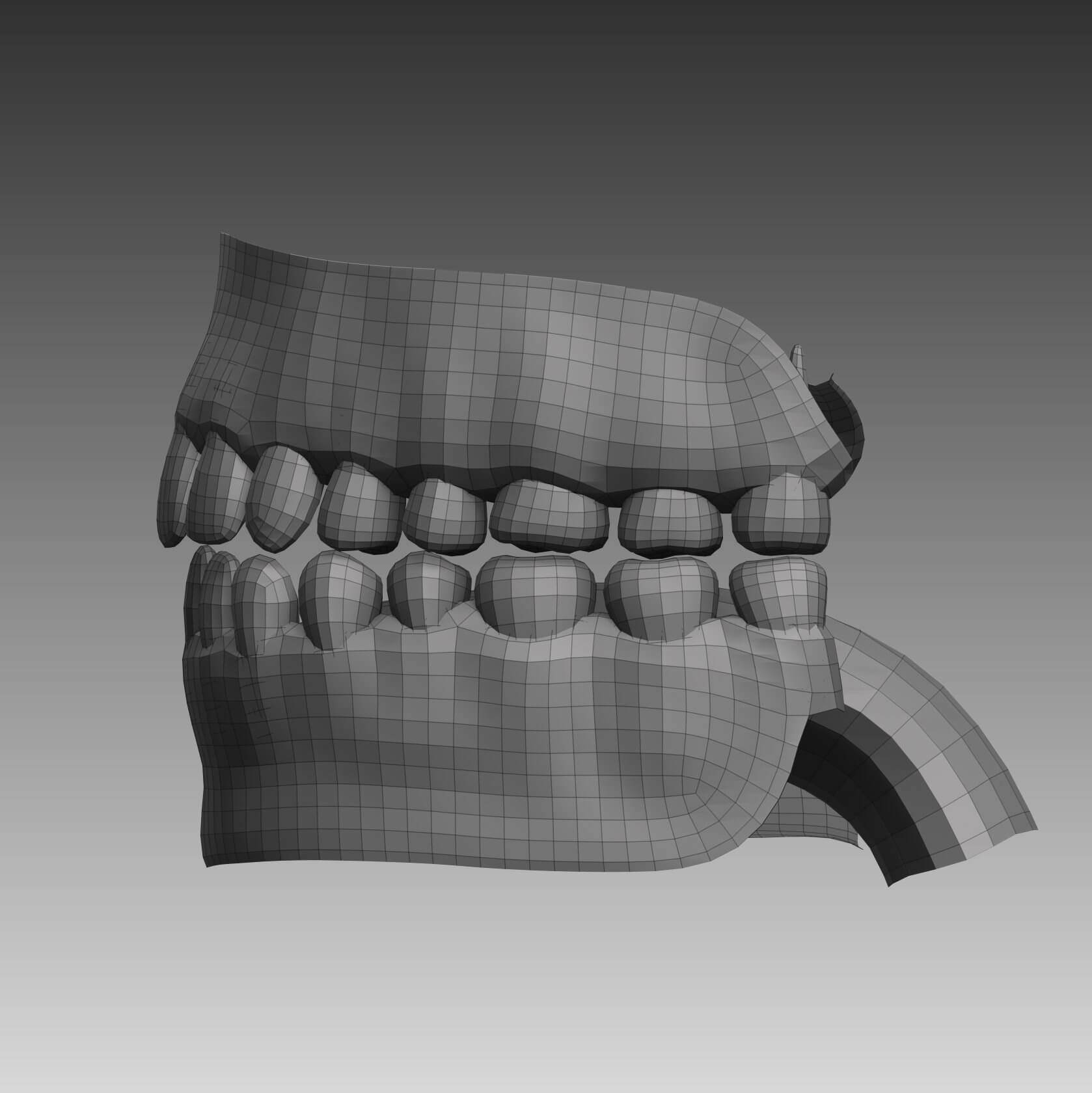 Anatomical Body Base Mesh - 3D Model by erik_redhair