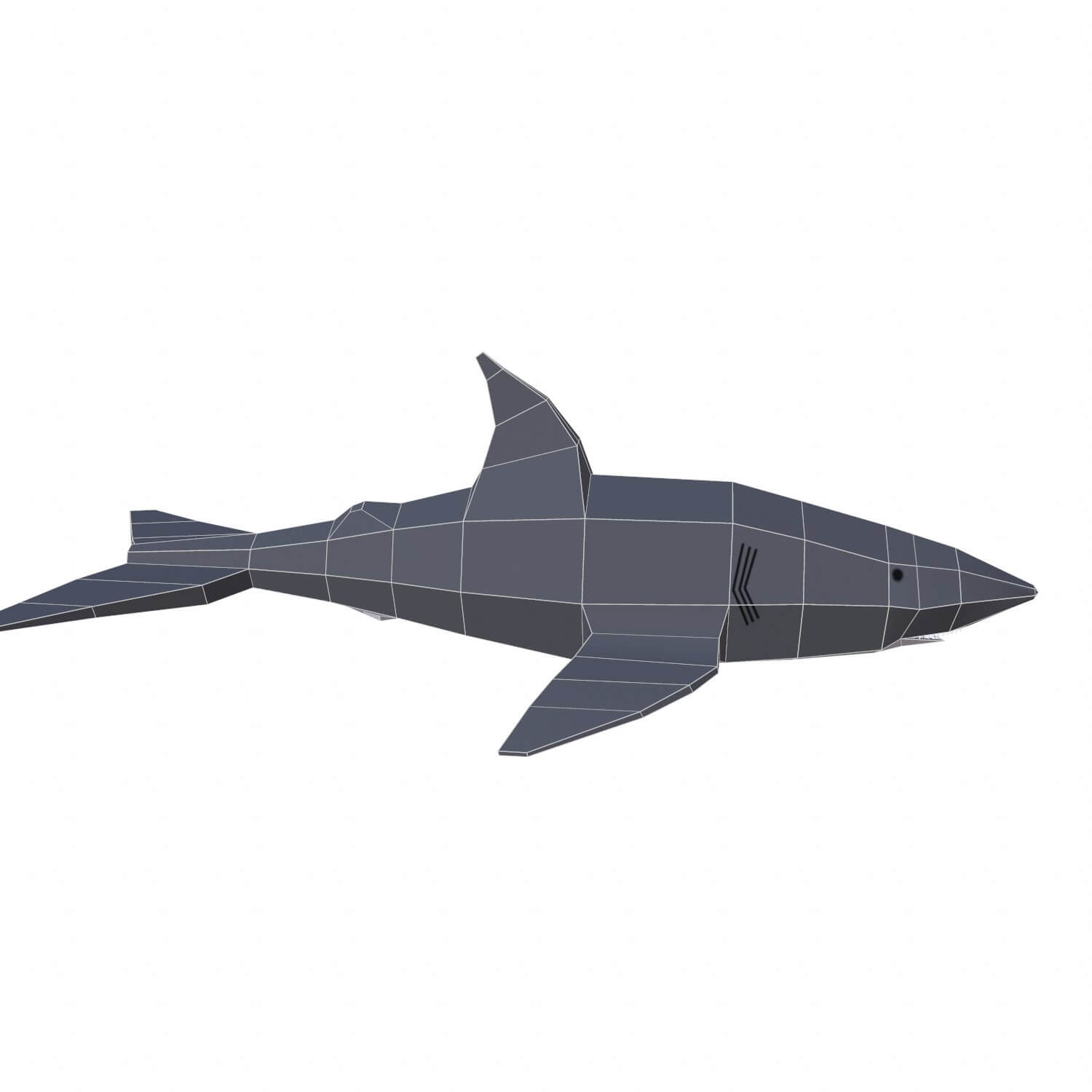 Shark Cartoon - 3D Model by ERTAN ZORLU