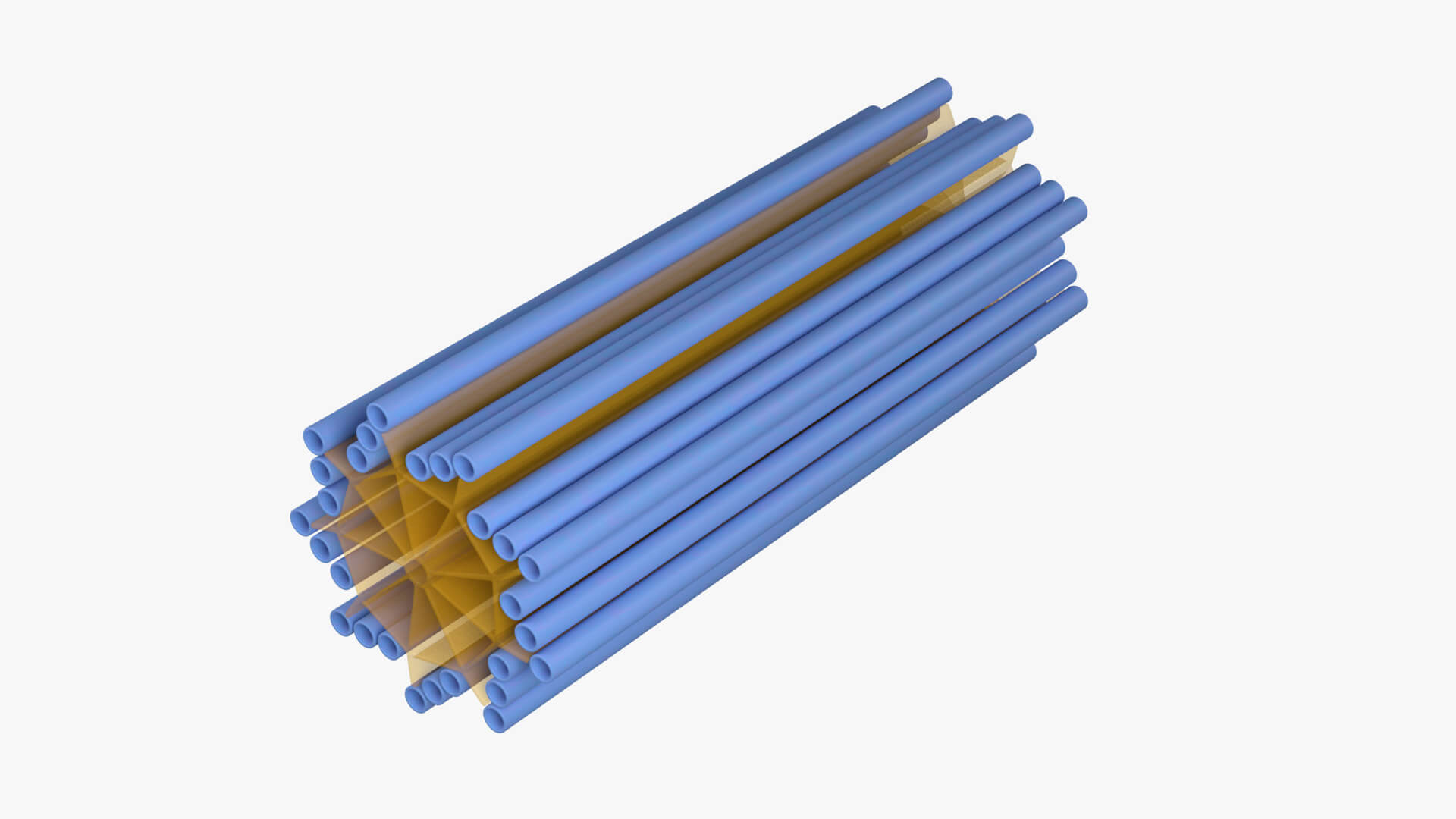 Centrioles Organelles - 3D Model by esfey