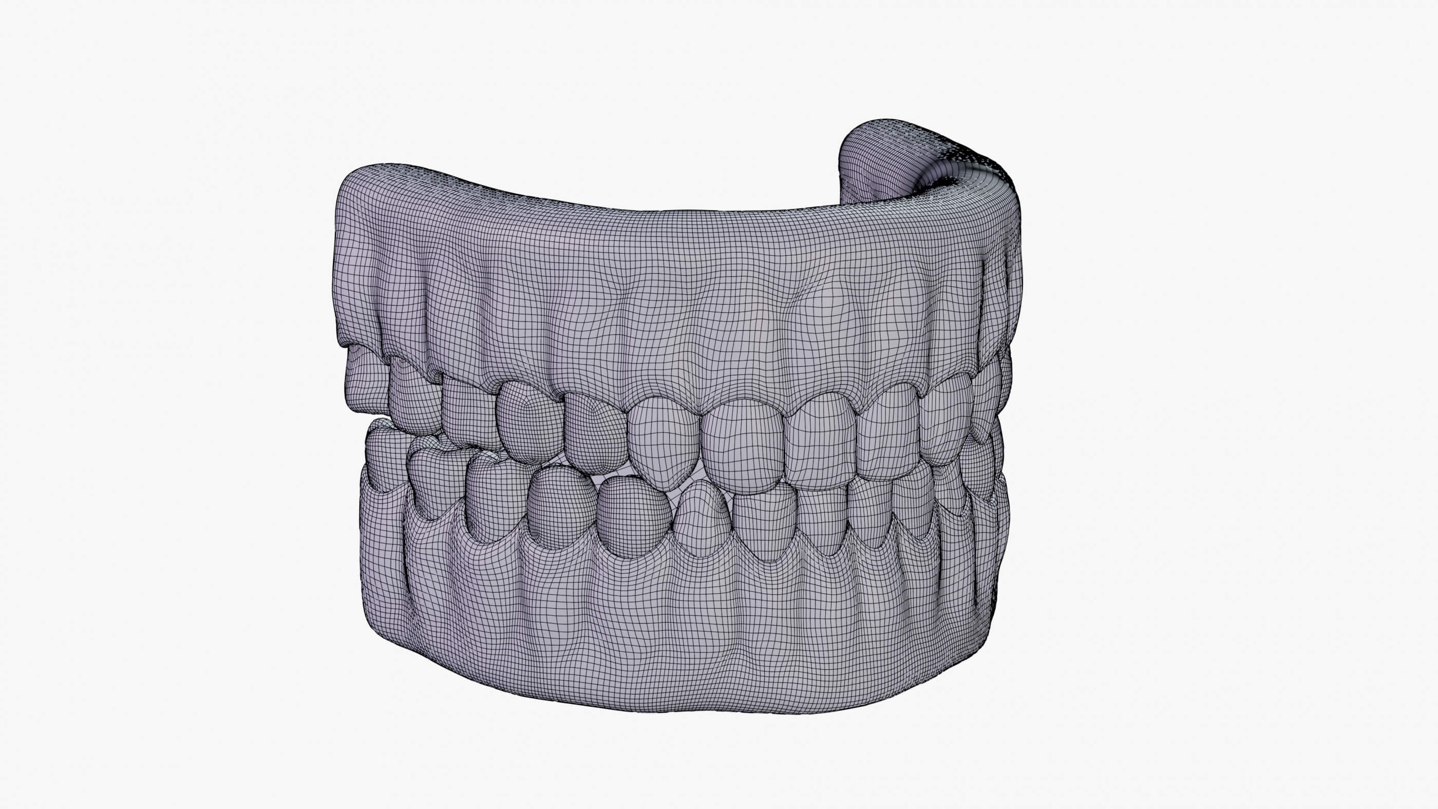 Human Gums With Teeth and Tongue - 3D Model by esfey