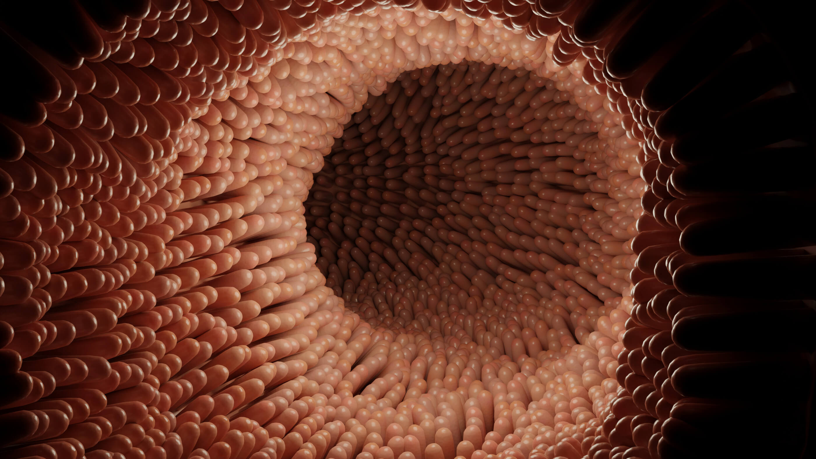 Intestinal Villi - 3D Model by esfey