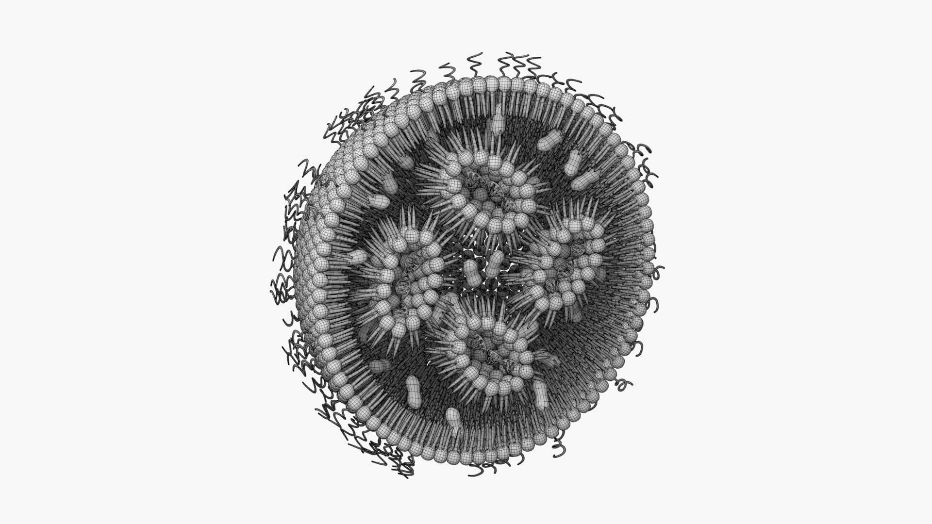 Lipid Nanoparticles - 3D Model by esfey