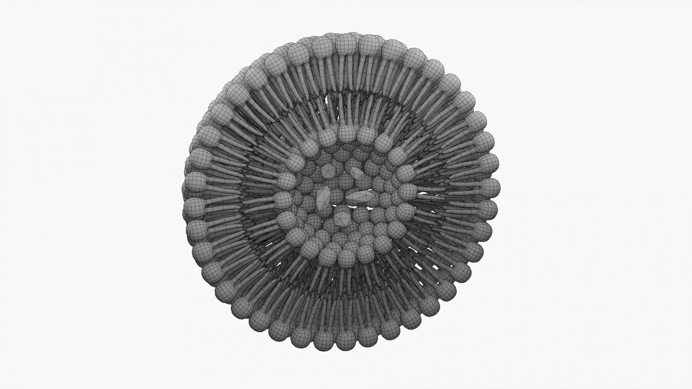 Liposome Vesicle - 3D Model by esfey
