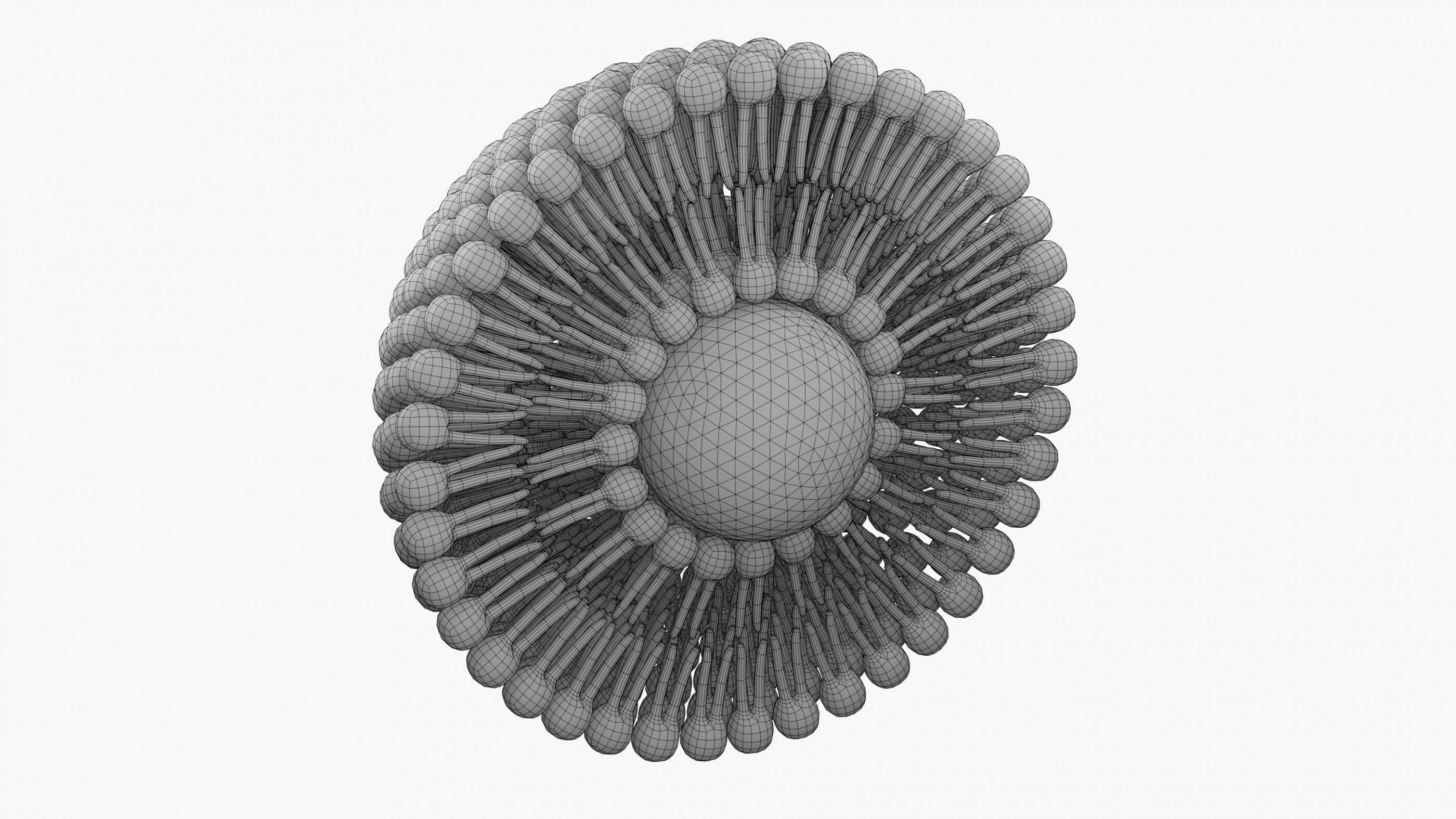 Liposome Vesicle - 3D Model by esfey