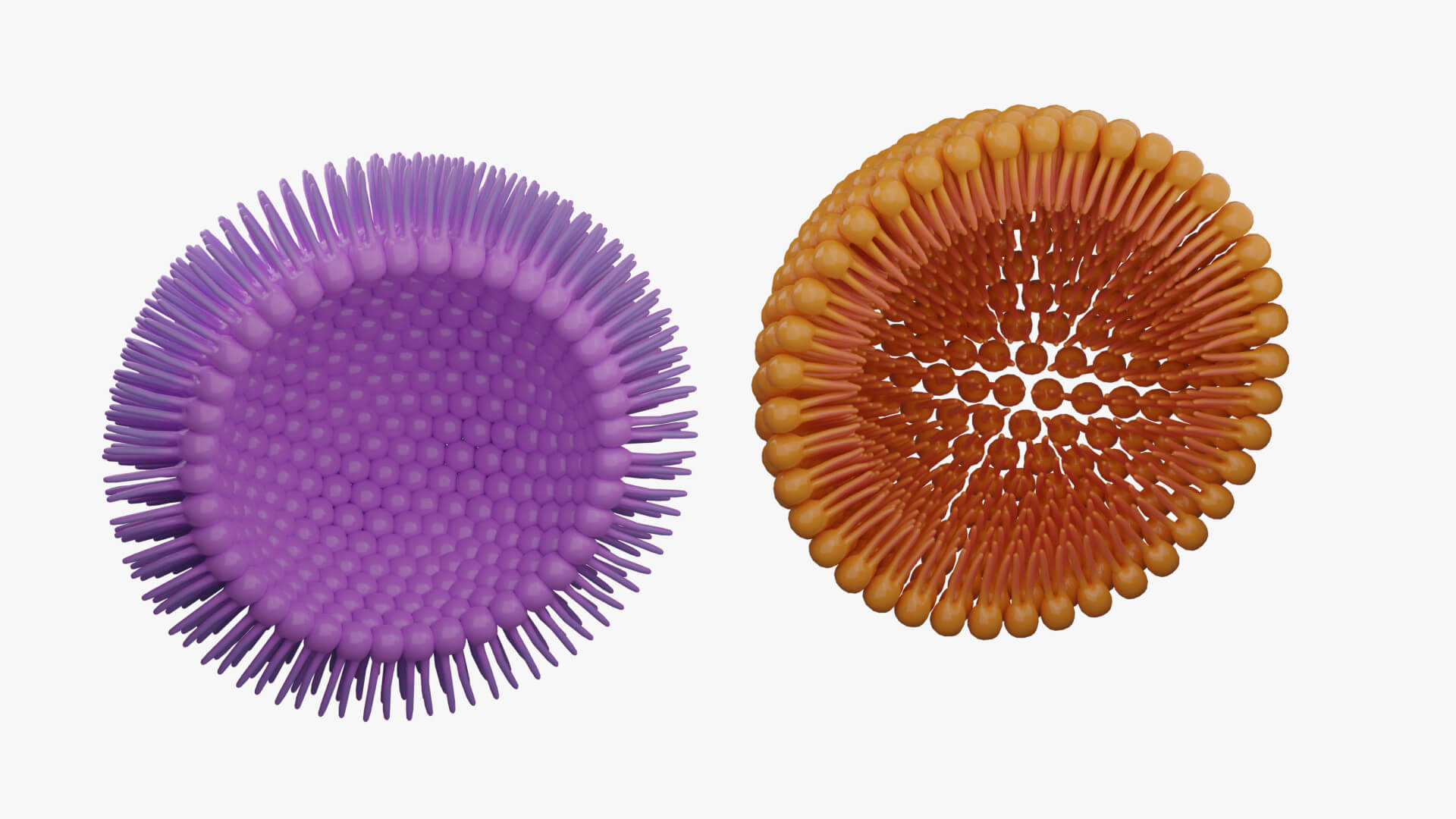 Micelle Normal and Reverse - 3D Model by esfey