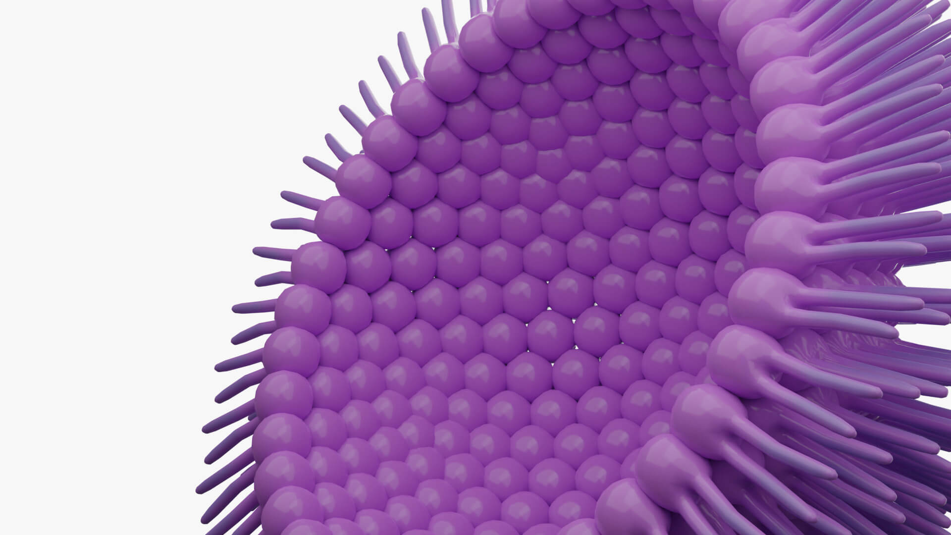 Micelle Normal and Reverse - 3D Model by esfey