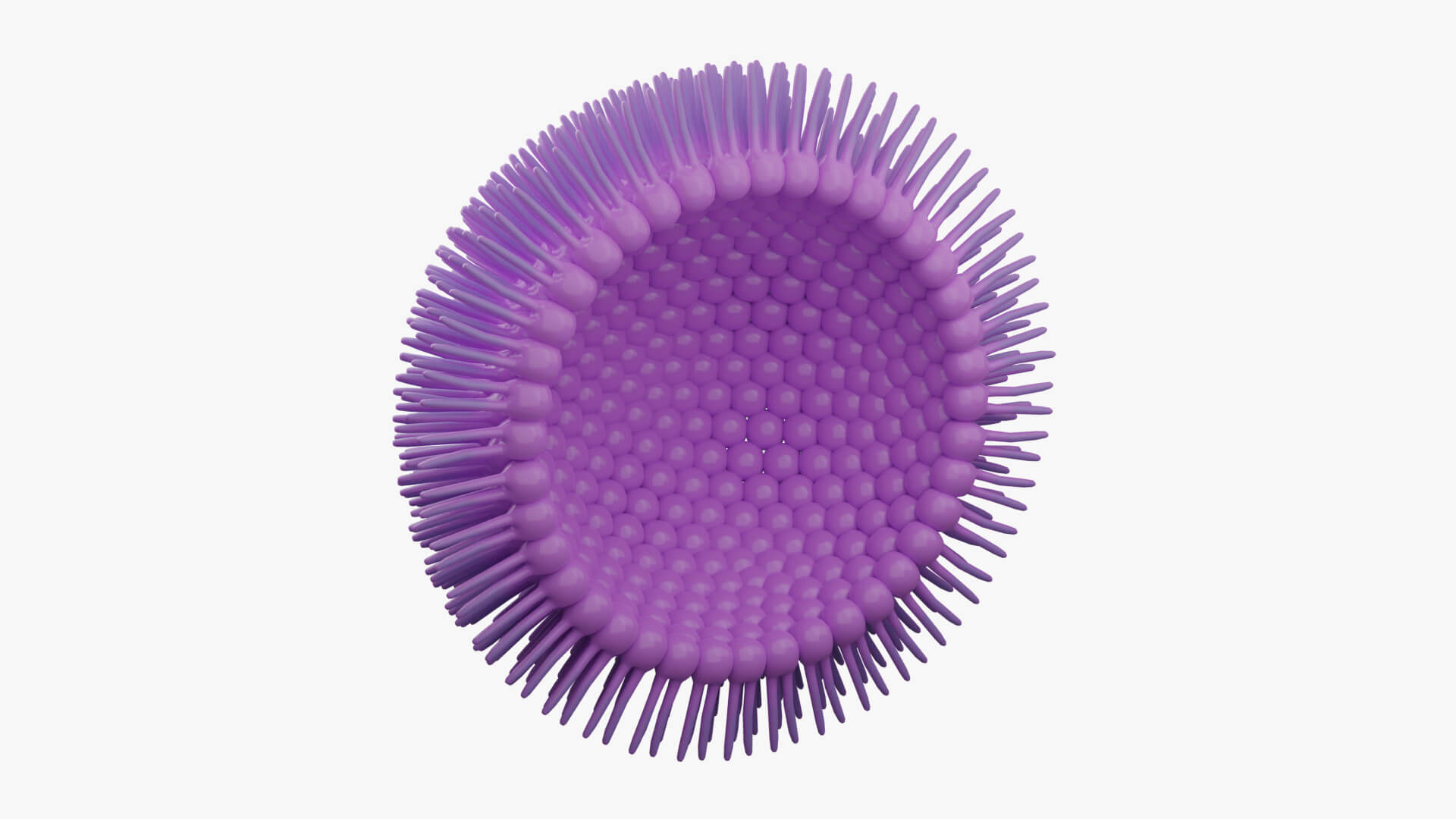 Micelle Normal and Reverse - 3D Model by esfey