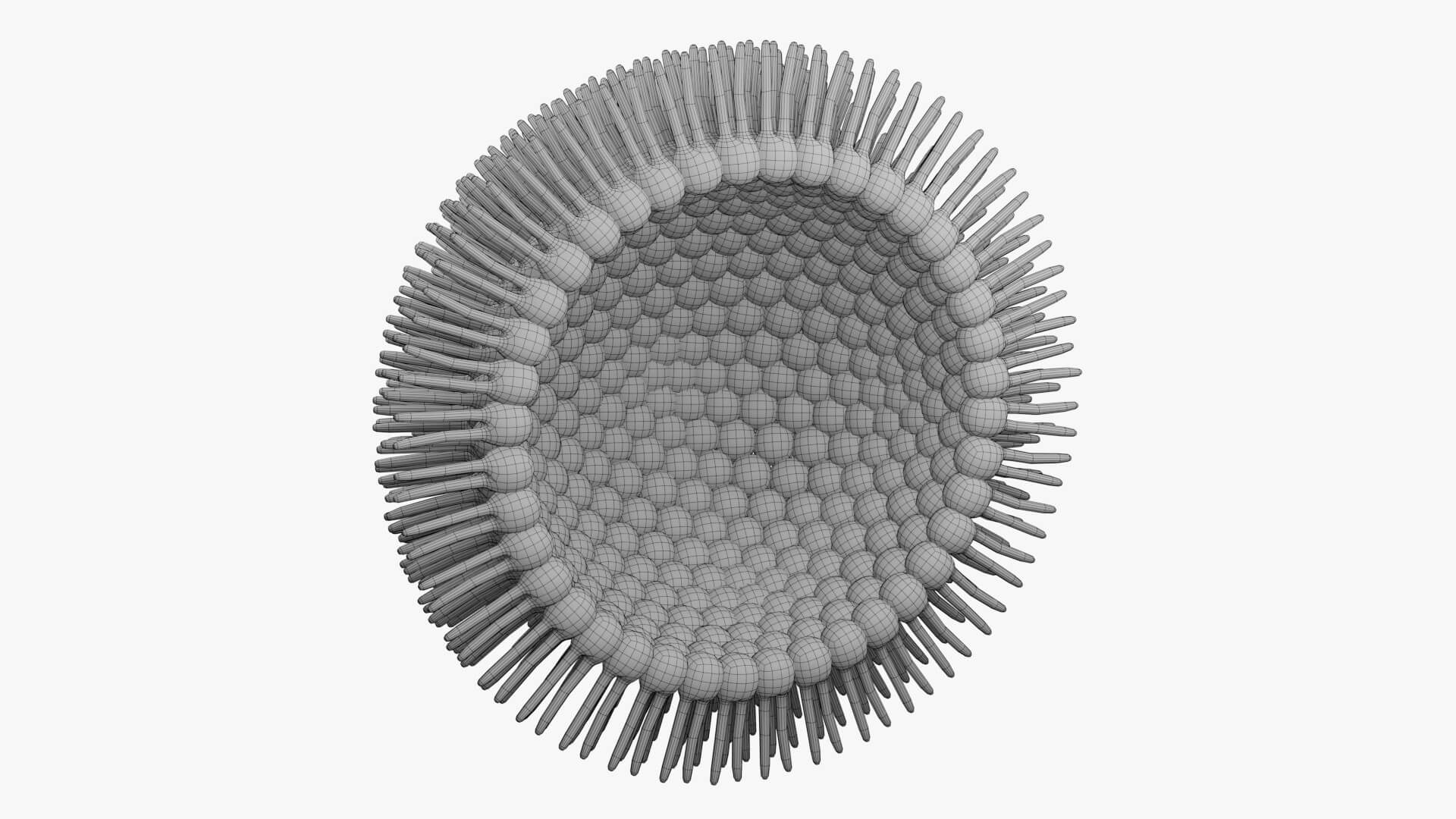 Micelle Normal and Reverse - 3D Model by esfey