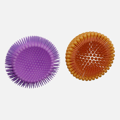 Micelle Normal and Reverse - 3D Model by esfey