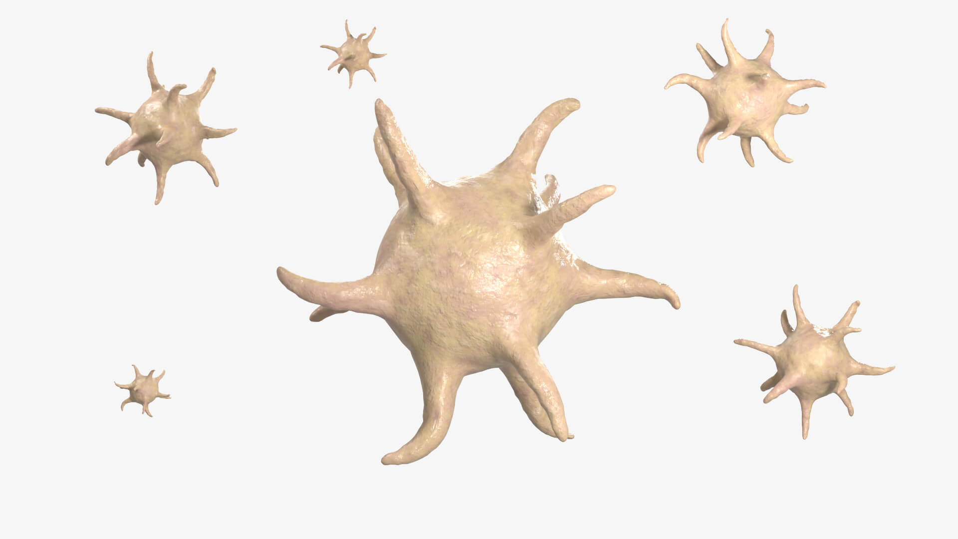 Platelet Thrombocyte - 3D Model by esfey