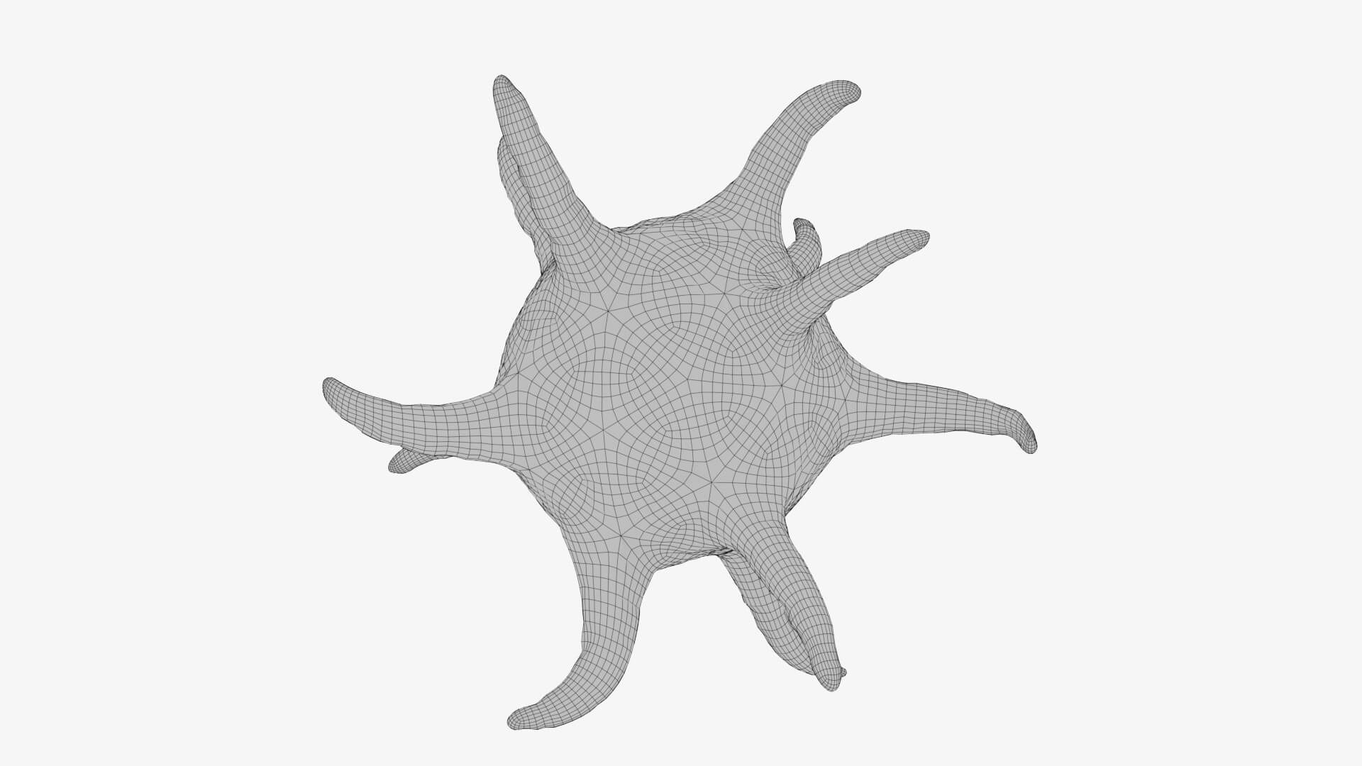 Platelet Thrombocyte - 3D Model by esfey