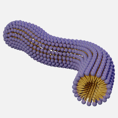 Wormlike Micelle - 3D Model by esfey