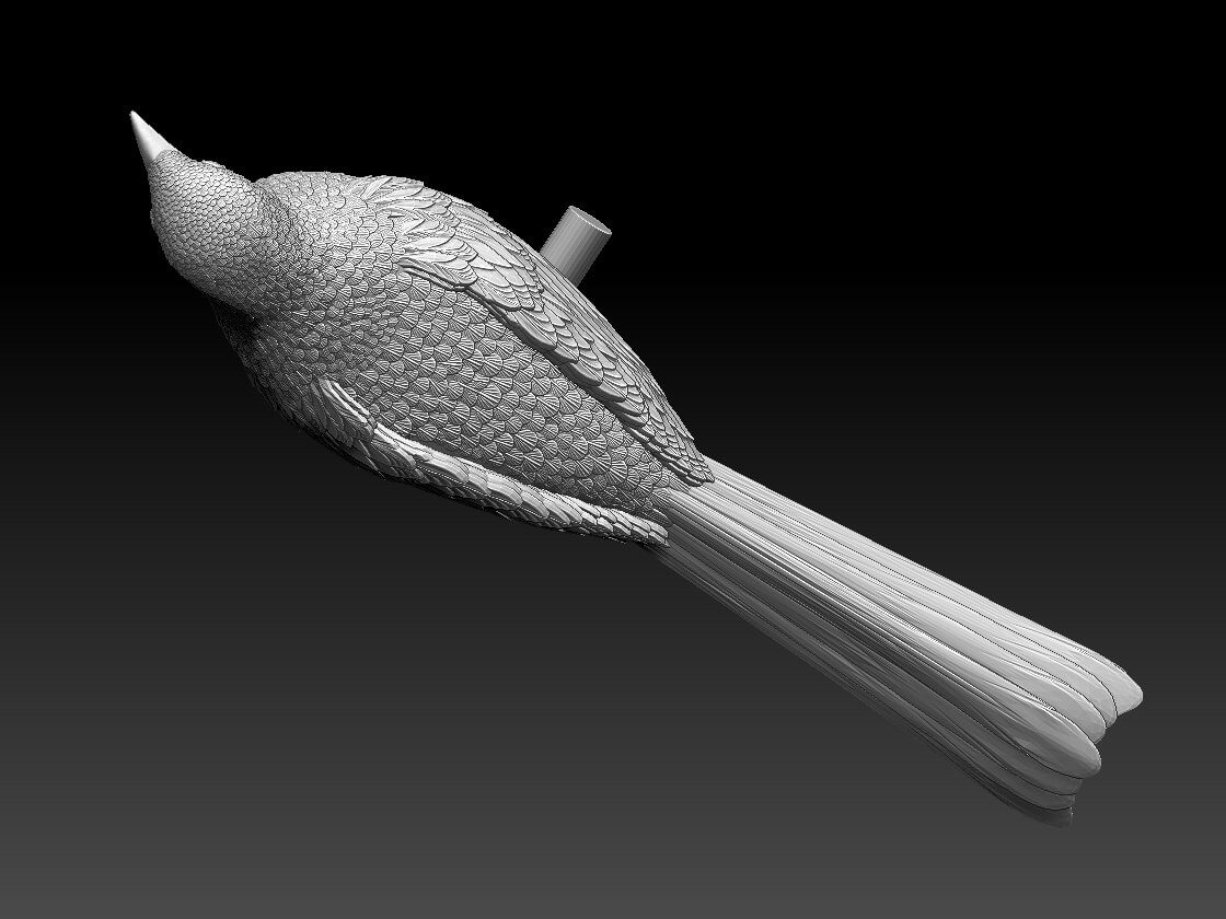 Bird Magpie - 3D Model by Explorer