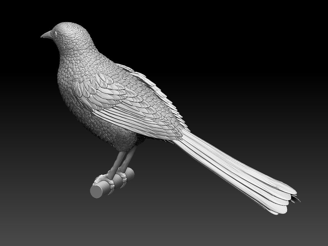 Bird Magpie - 3D Model by Explorer