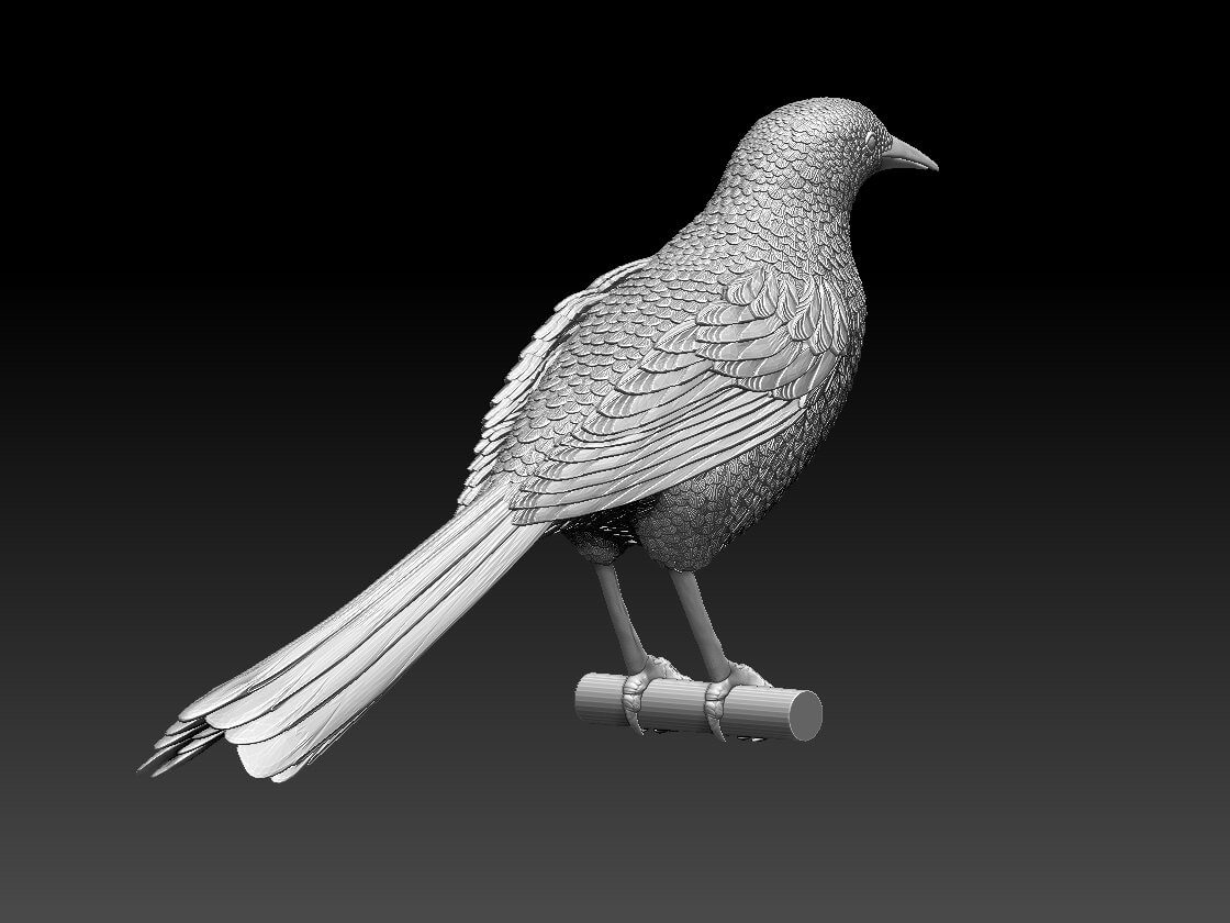 Bird Magpie - 3D Model by Explorer