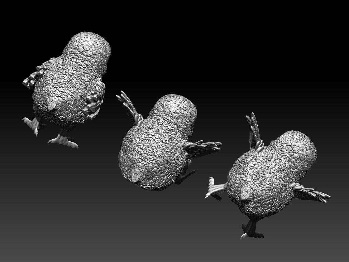 Chickens - 3D Model by Explorer