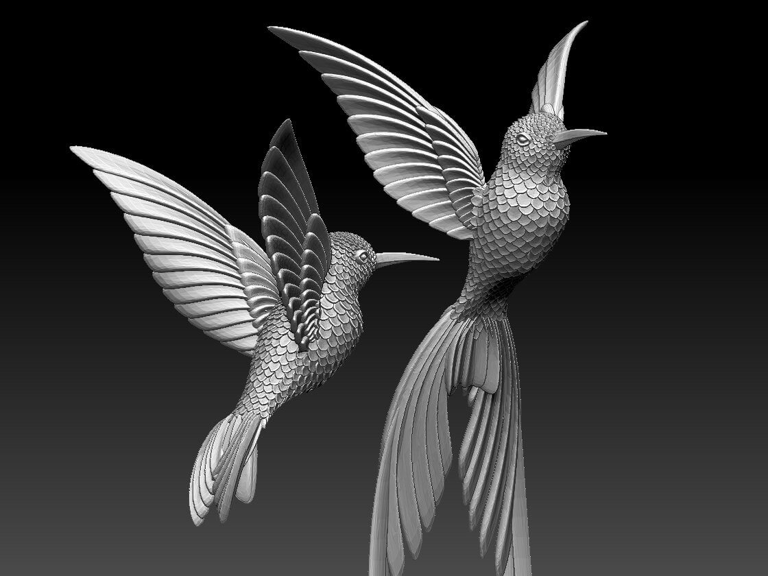Colibri Humming Bird - 3D Model by Explorer