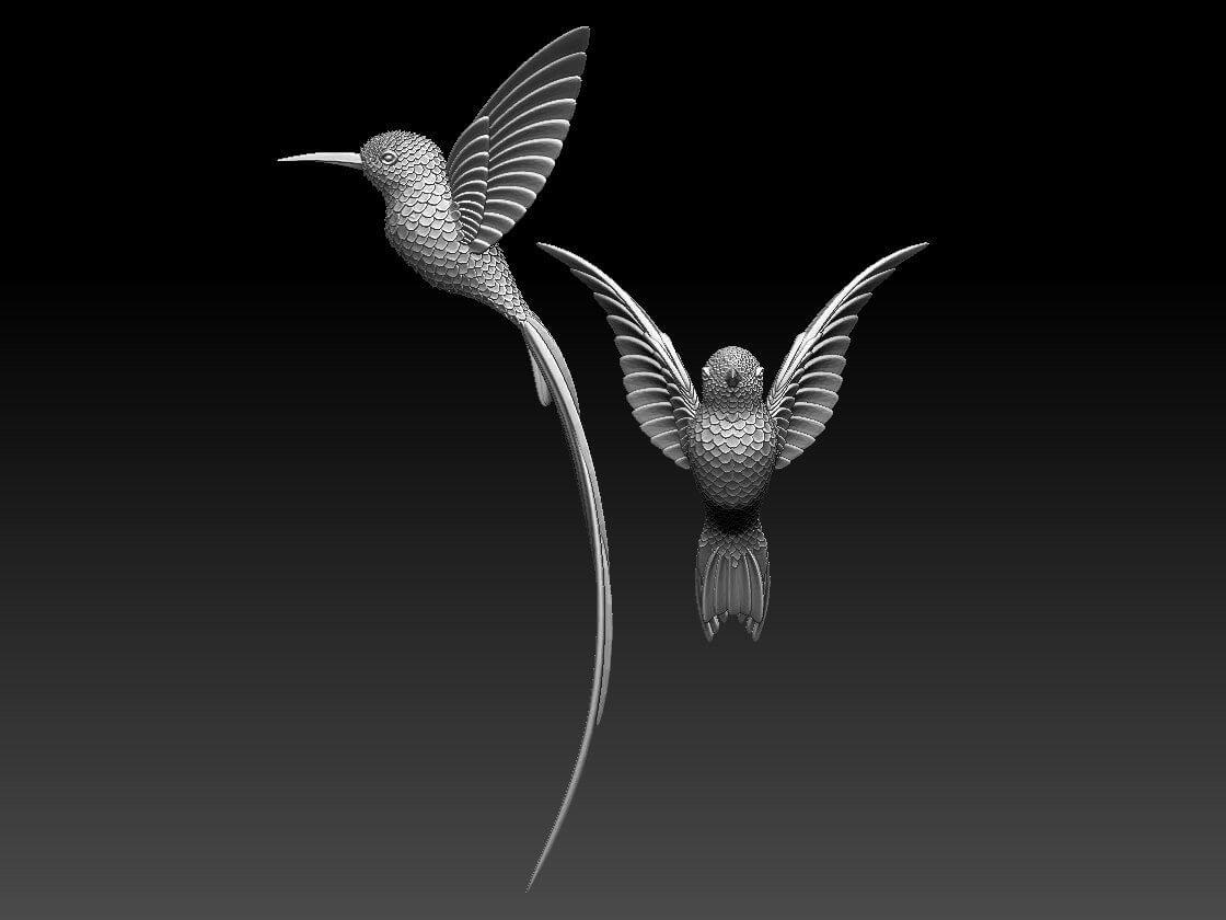 Colibri Humming Bird - 3D Model by Explorer