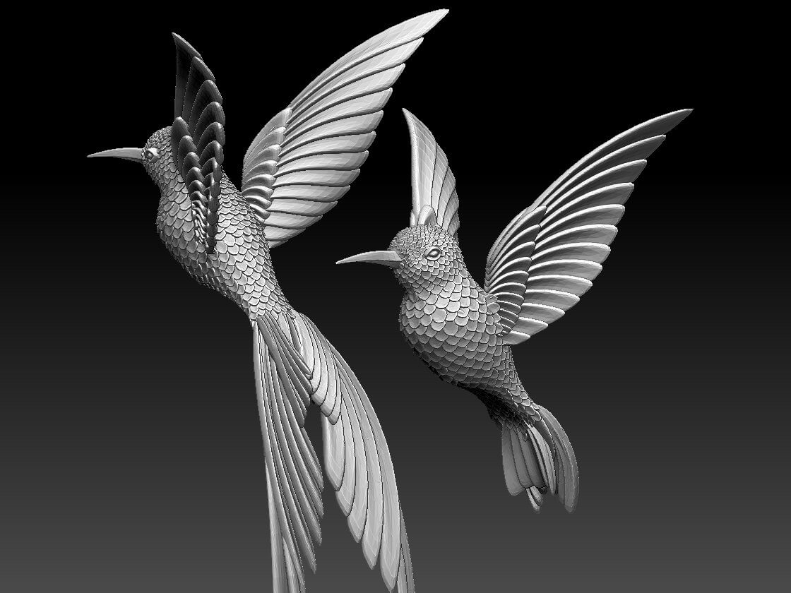 Colibri Humming Bird - 3D Model by Explorer