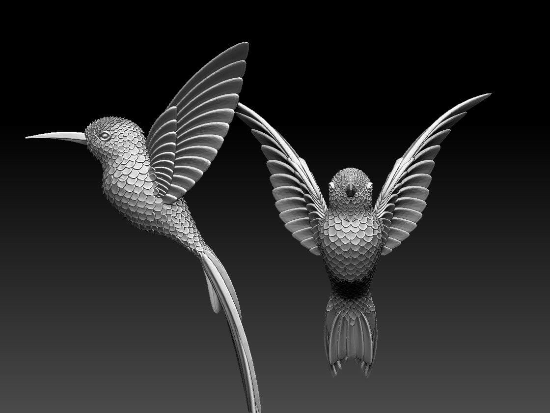 Colibri Humming Bird - 3D Model by Explorer