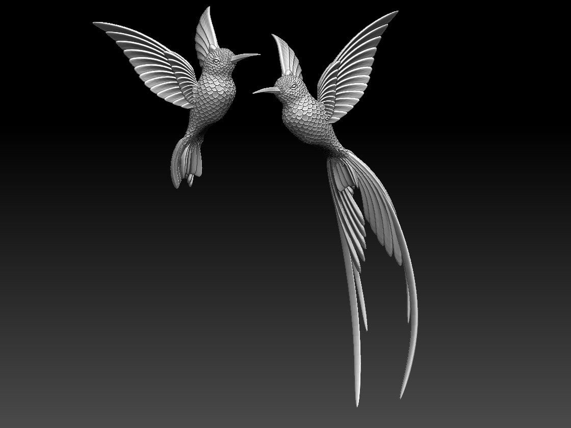 Colibri Humming Bird - 3D Model by Explorer
