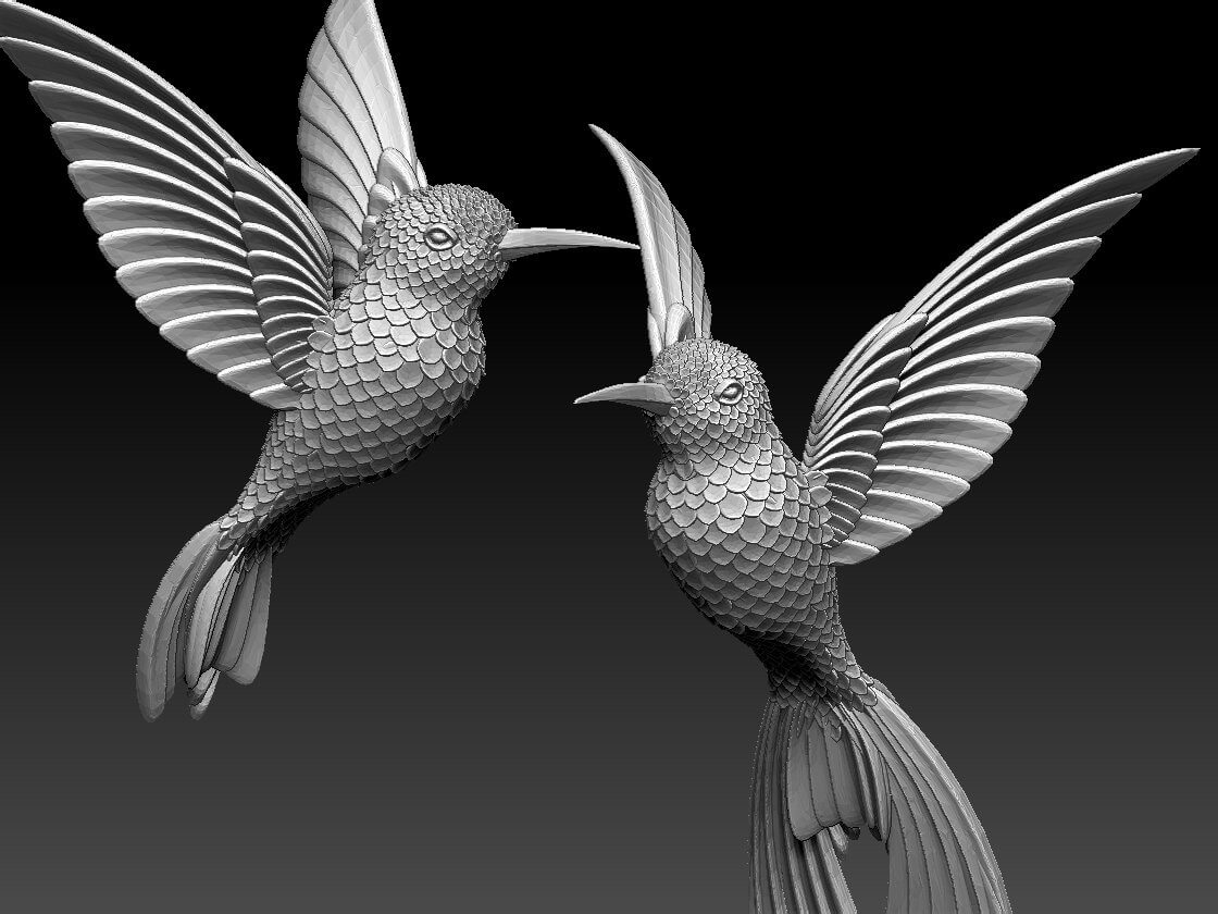 Colibri Humming Bird - 3D Model by Explorer