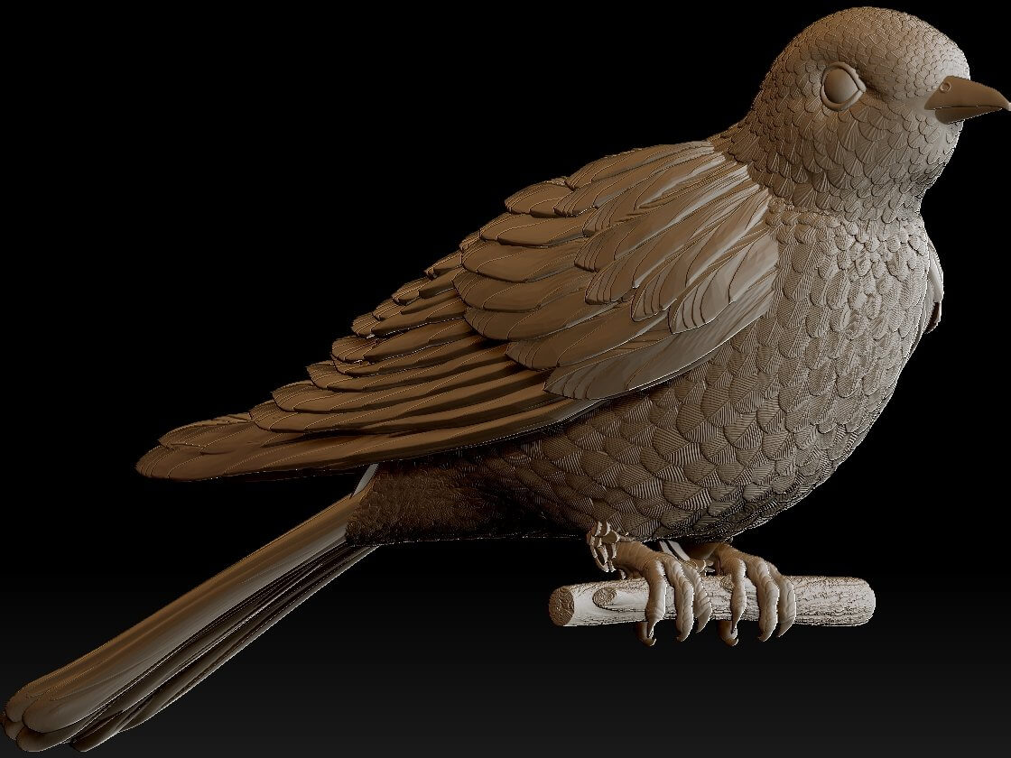 Cuckoo - 3D Model by Explorer