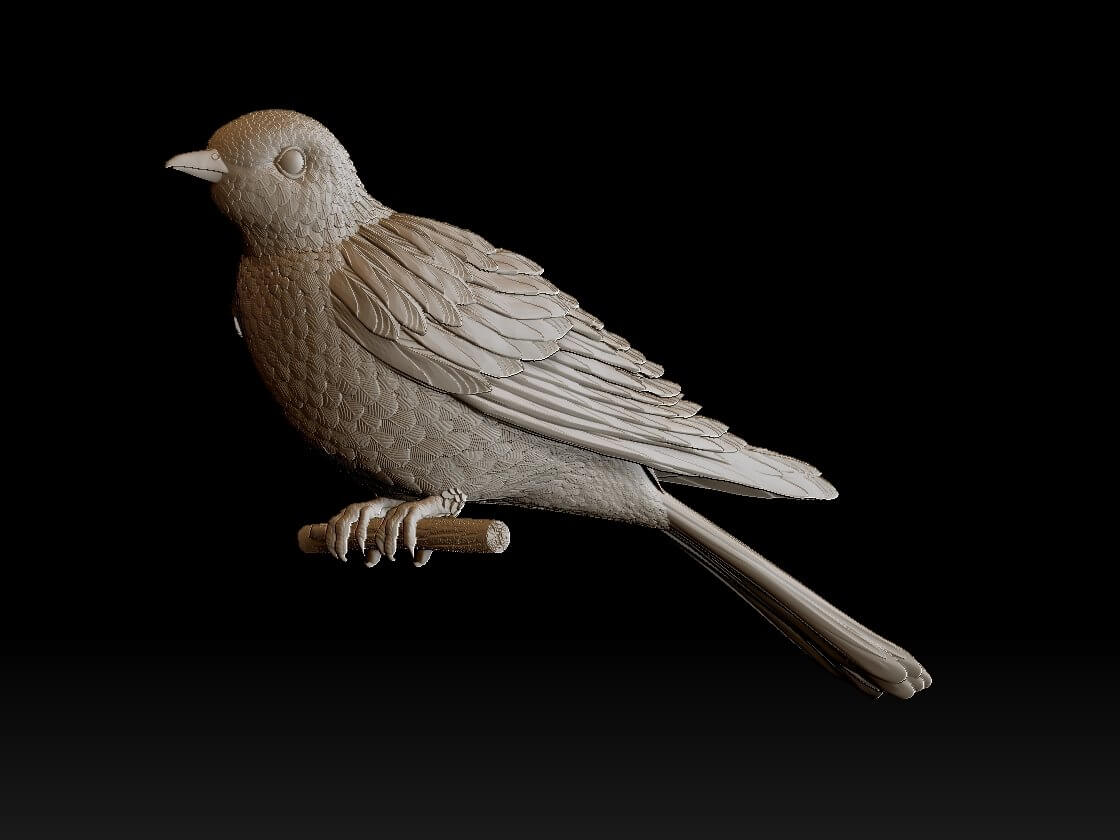 Cuckoo - 3D Model by Explorer
