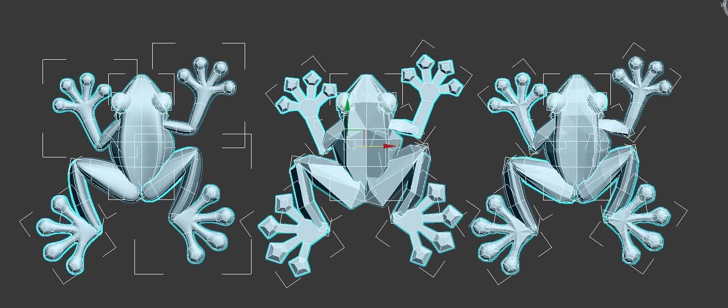 Frog - 3D Model by Explorer