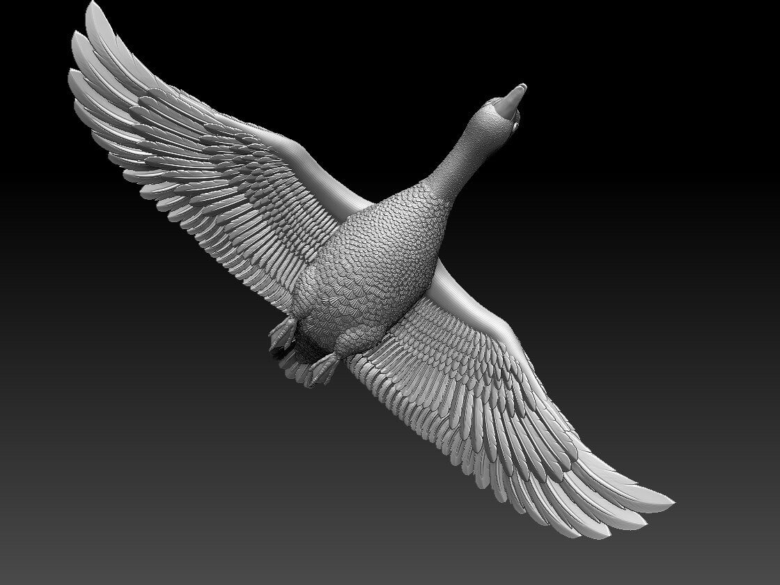Goose - 3D Model by Explorer