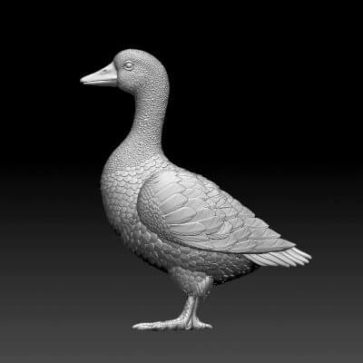 Goose - 3D Model by Explorer