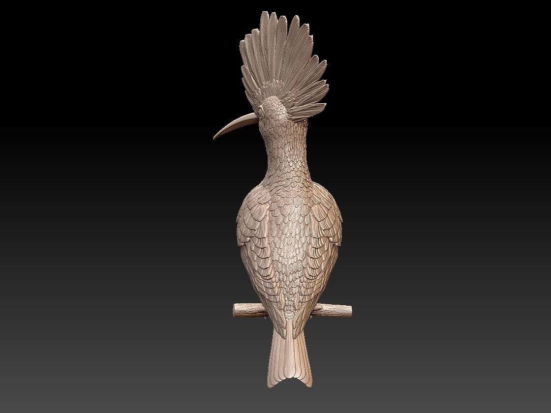 Hoopoe - 3D Model by Explorer