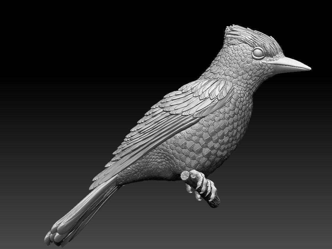Jay Bird - 3D Model by Explorer
