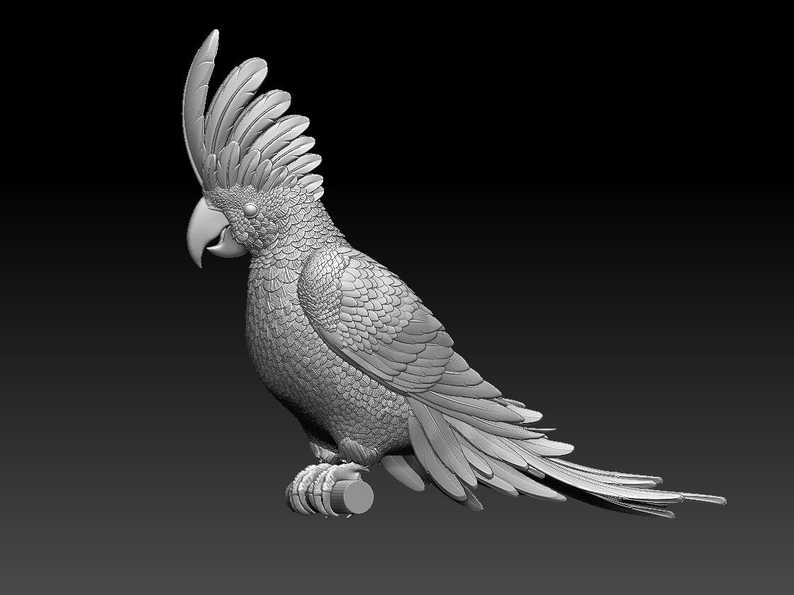 Parrot Cacadu - 3D Model by Explorer