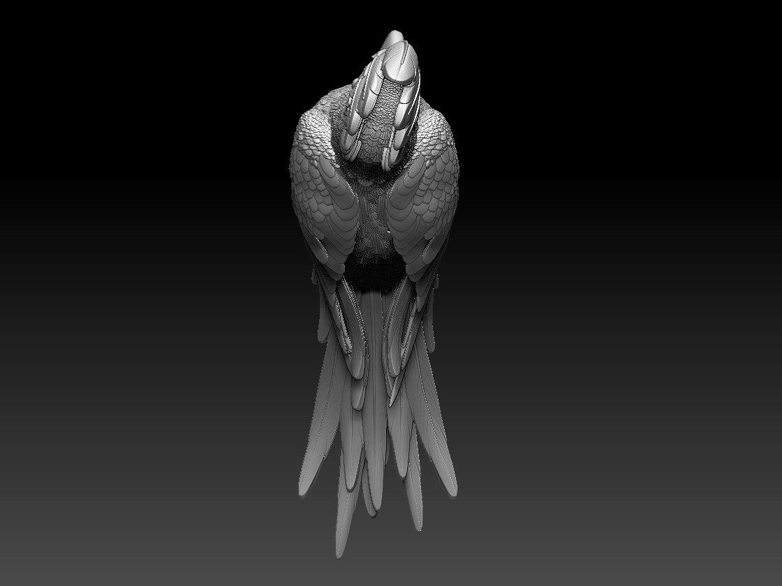 Parrot Cacadu - 3D Model by Explorer